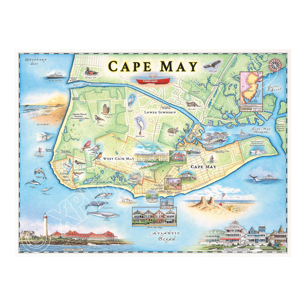 Cape May New Jersey Map Print 24x18 | Xplorer Maps